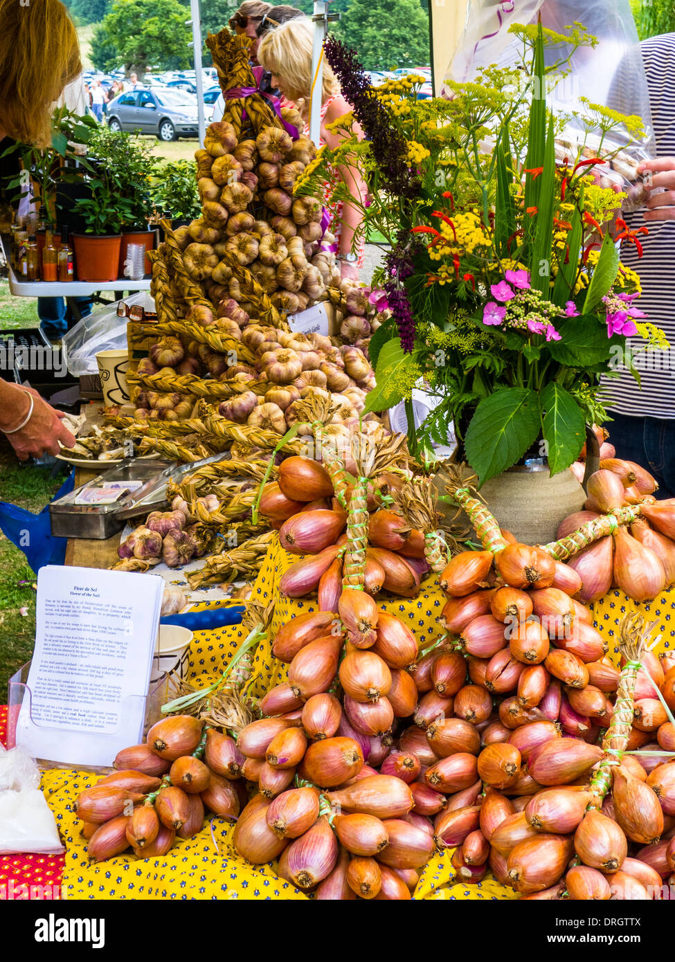 Onion display at West Dean garden, West Sussex, UK Stock Photo - Alamy