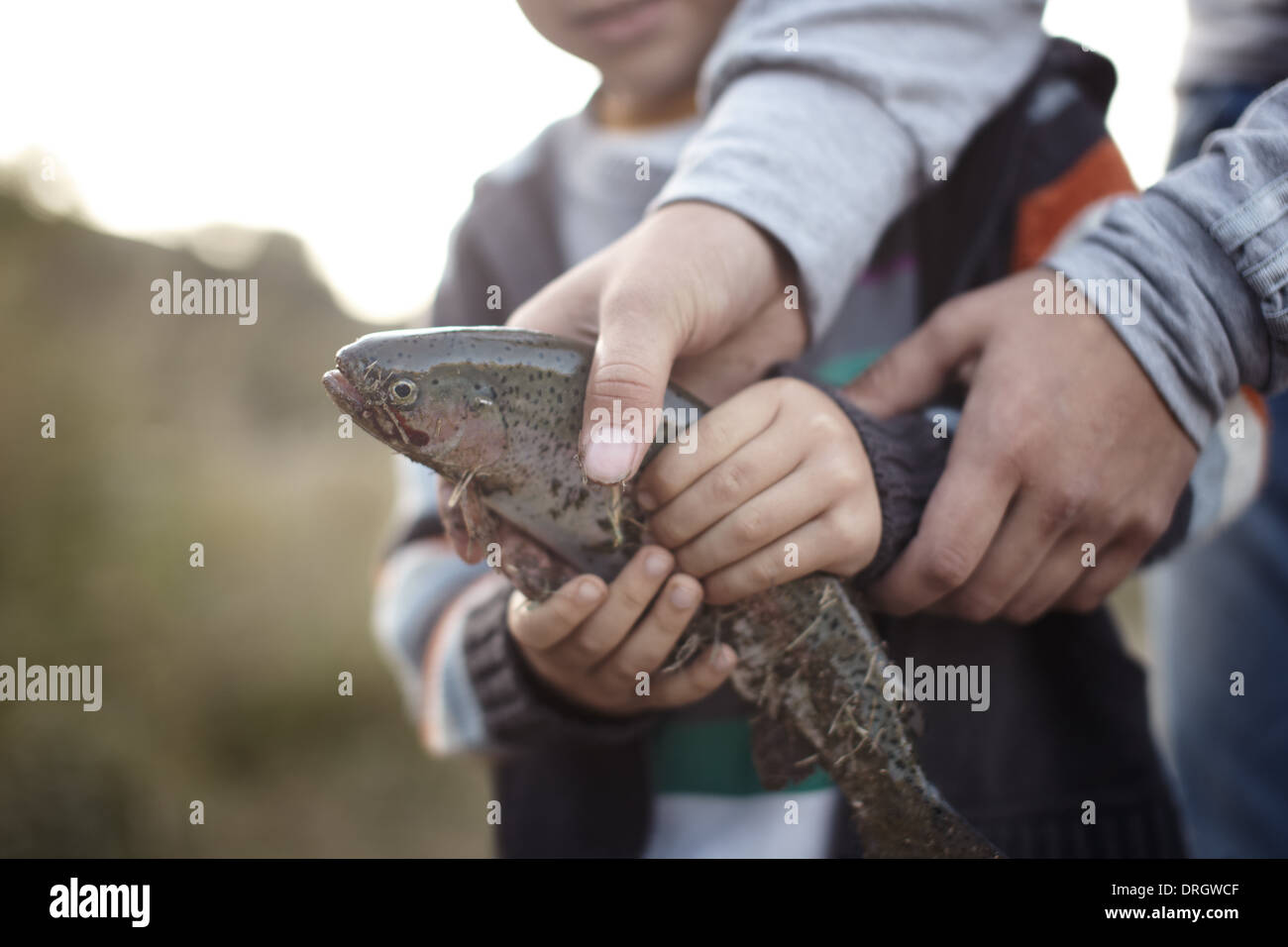 Mother fishery hi-res stock photography and images - Alamy