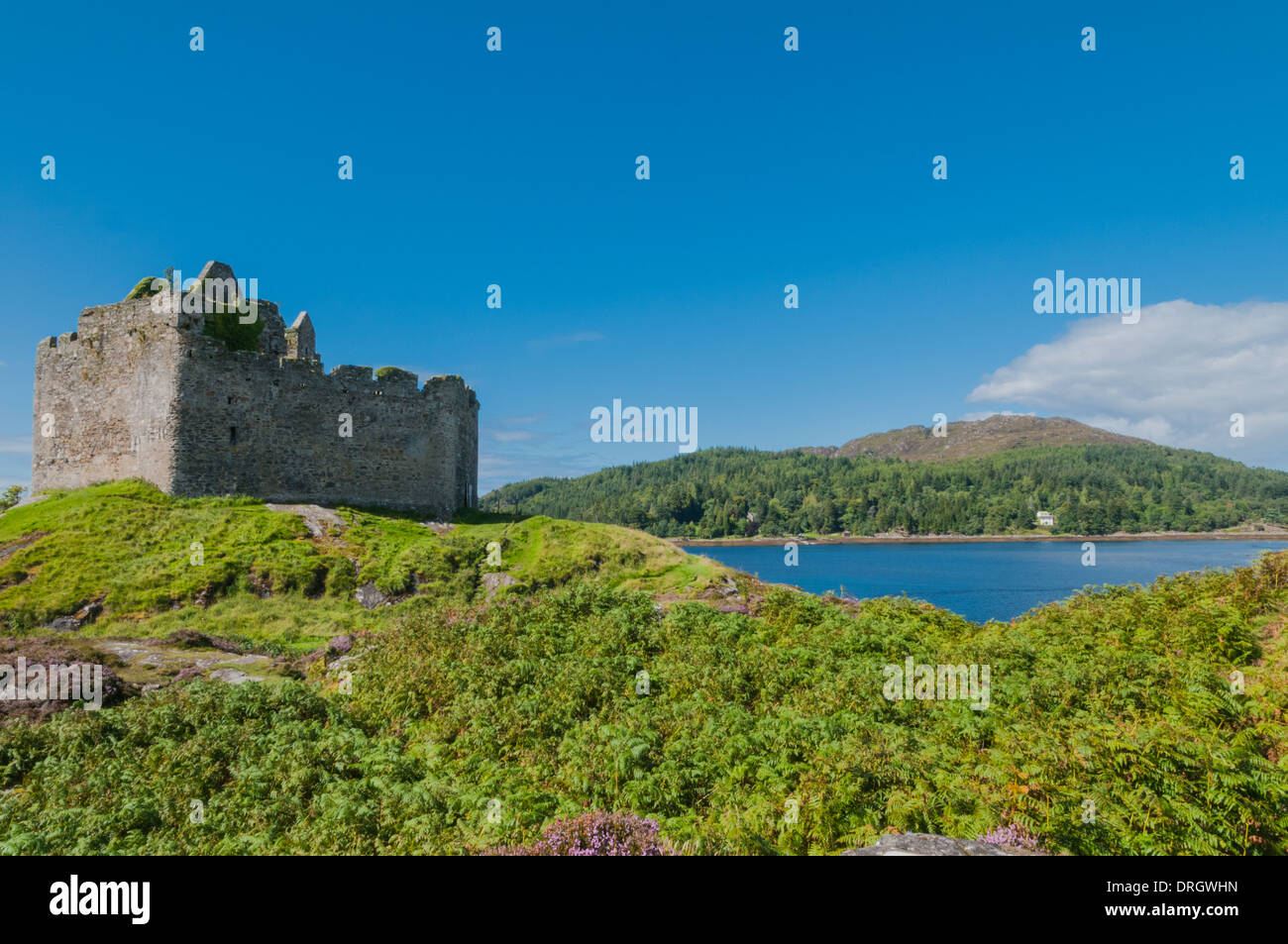Castle Tioram Eilean Tioram Dorlin nr Acharacle Lochaber Highland ...