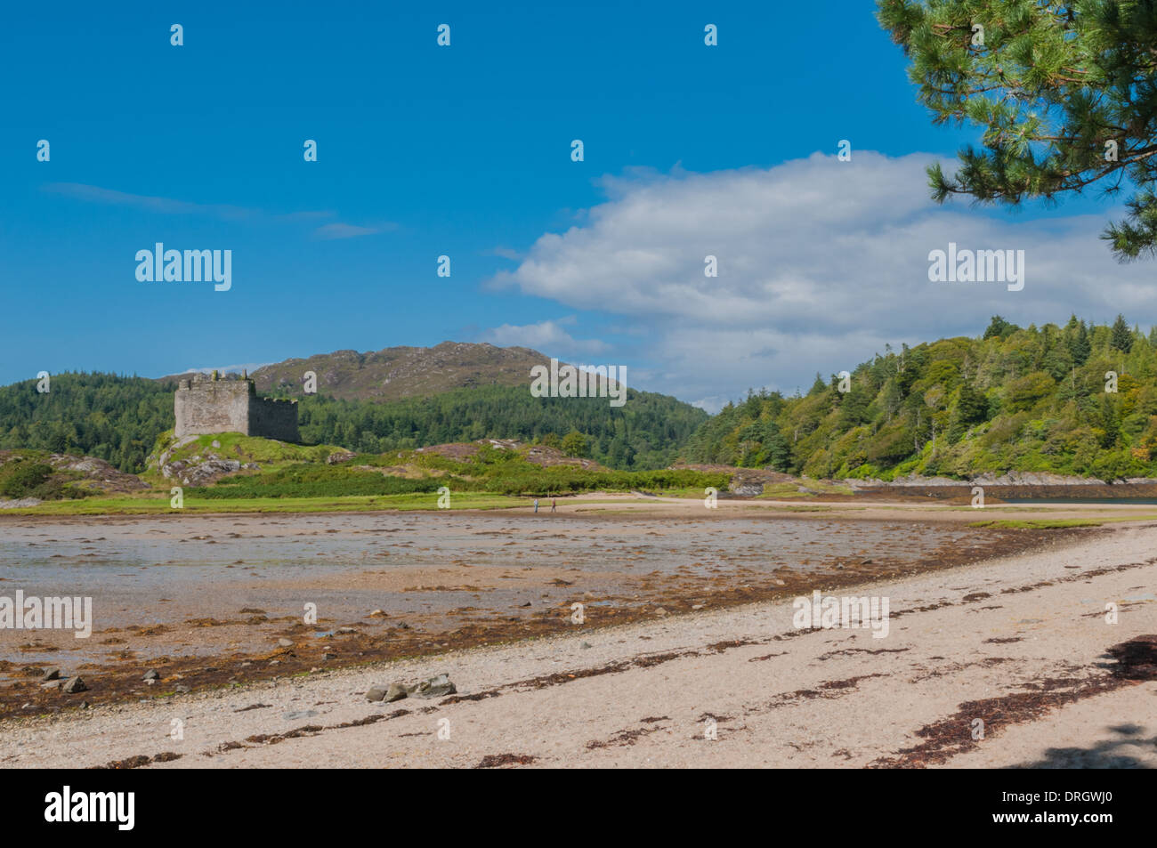 Castle Tioram Eilean Tioram Dorlin nr Acharacle Lochaber Highland ...
