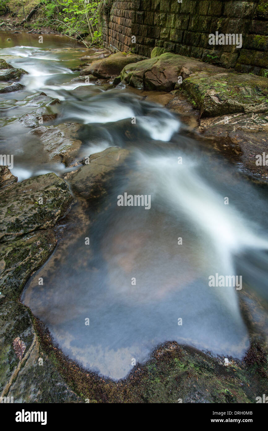 May Beck, North yorkshire England Stock Photo - Alamy
