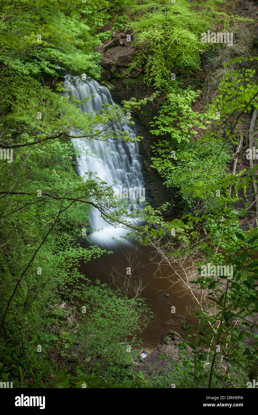 Falling Foss and May Beck, North yorkshire England Stock Photo - Alamy