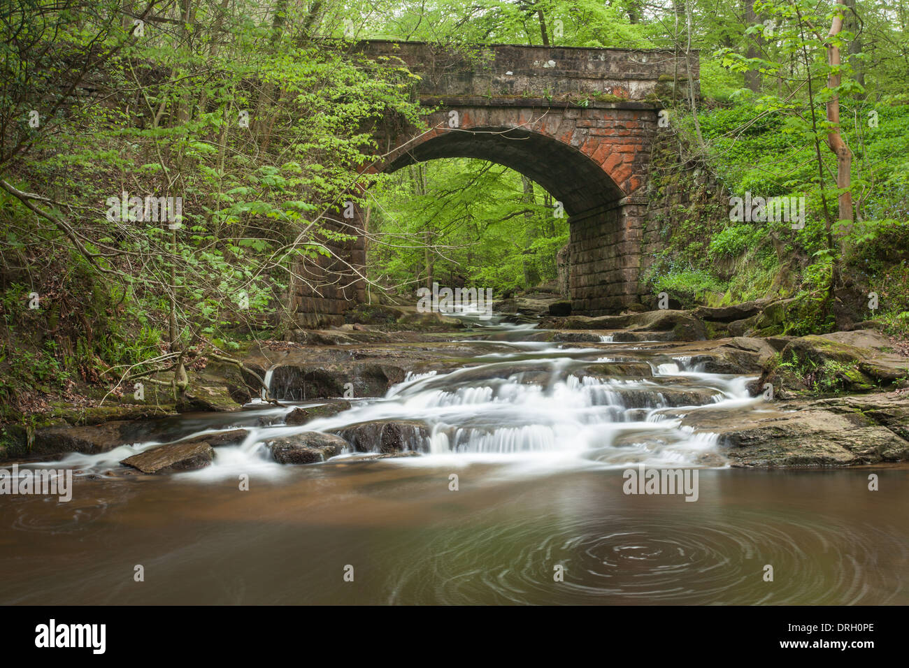 May Beck, North yorkshire England Stock Photo - Alamy