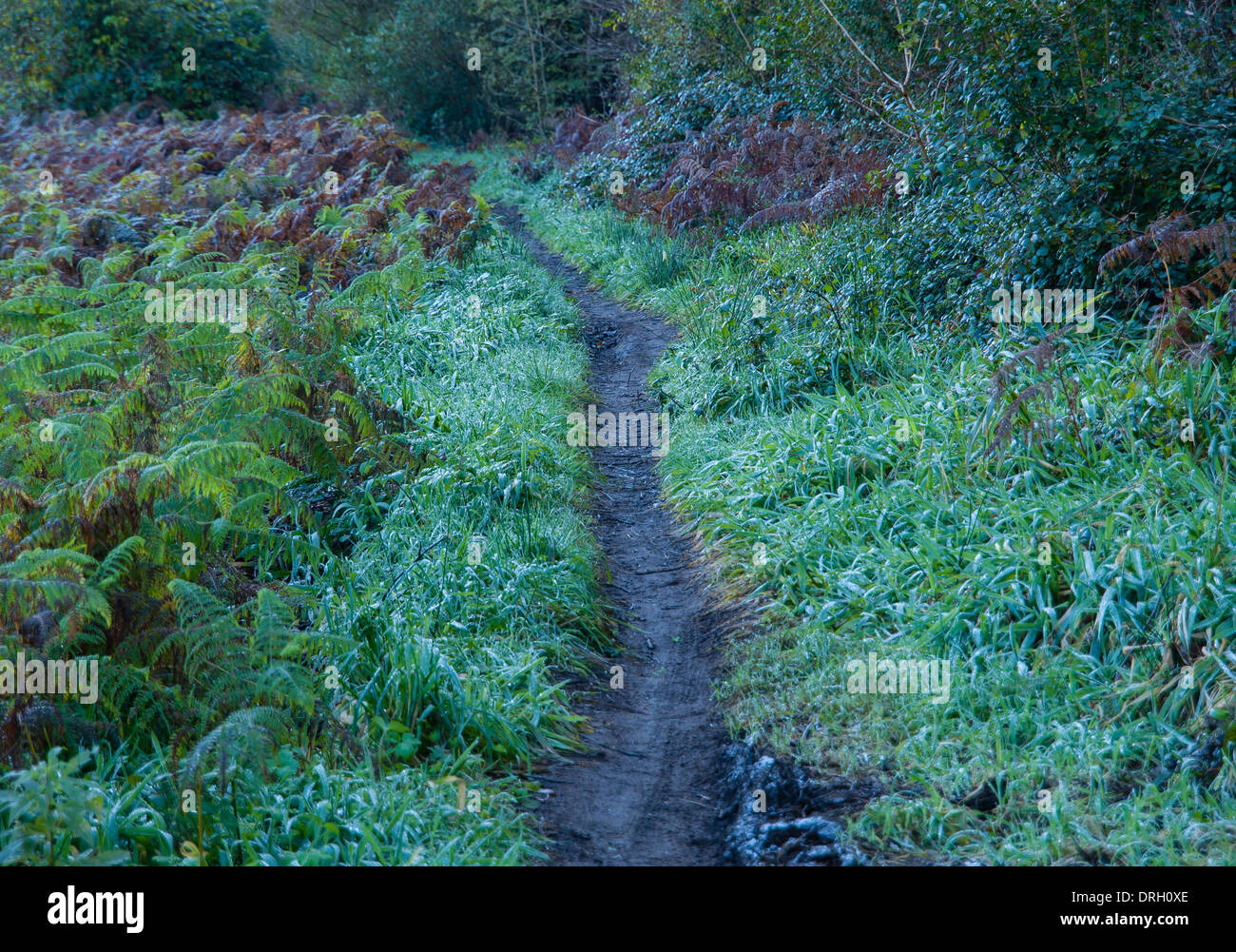Cold trail hi-res stock photography and images - Alamy