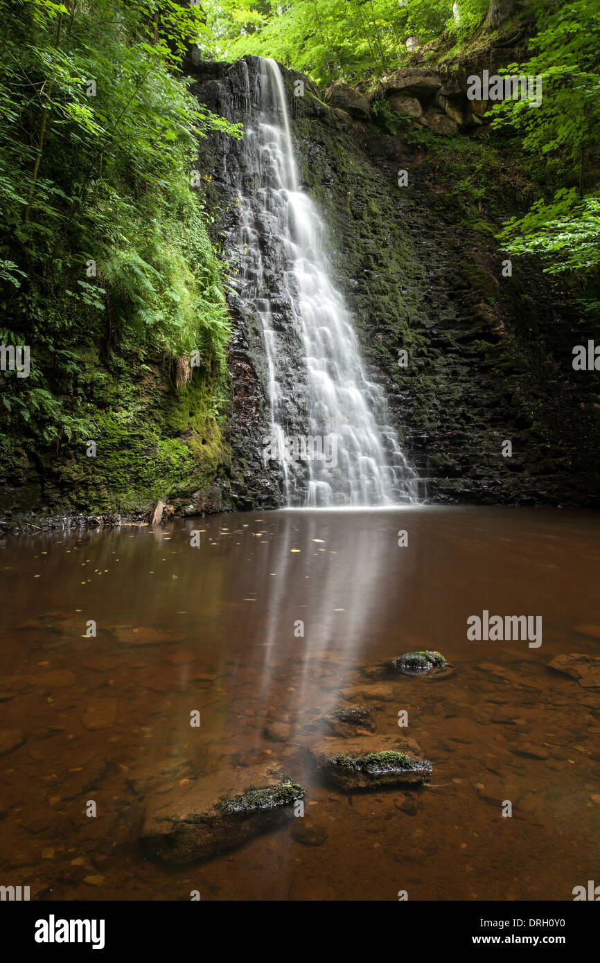 Falling Foss, North Yorkshire, England Stock Photo - Alamy