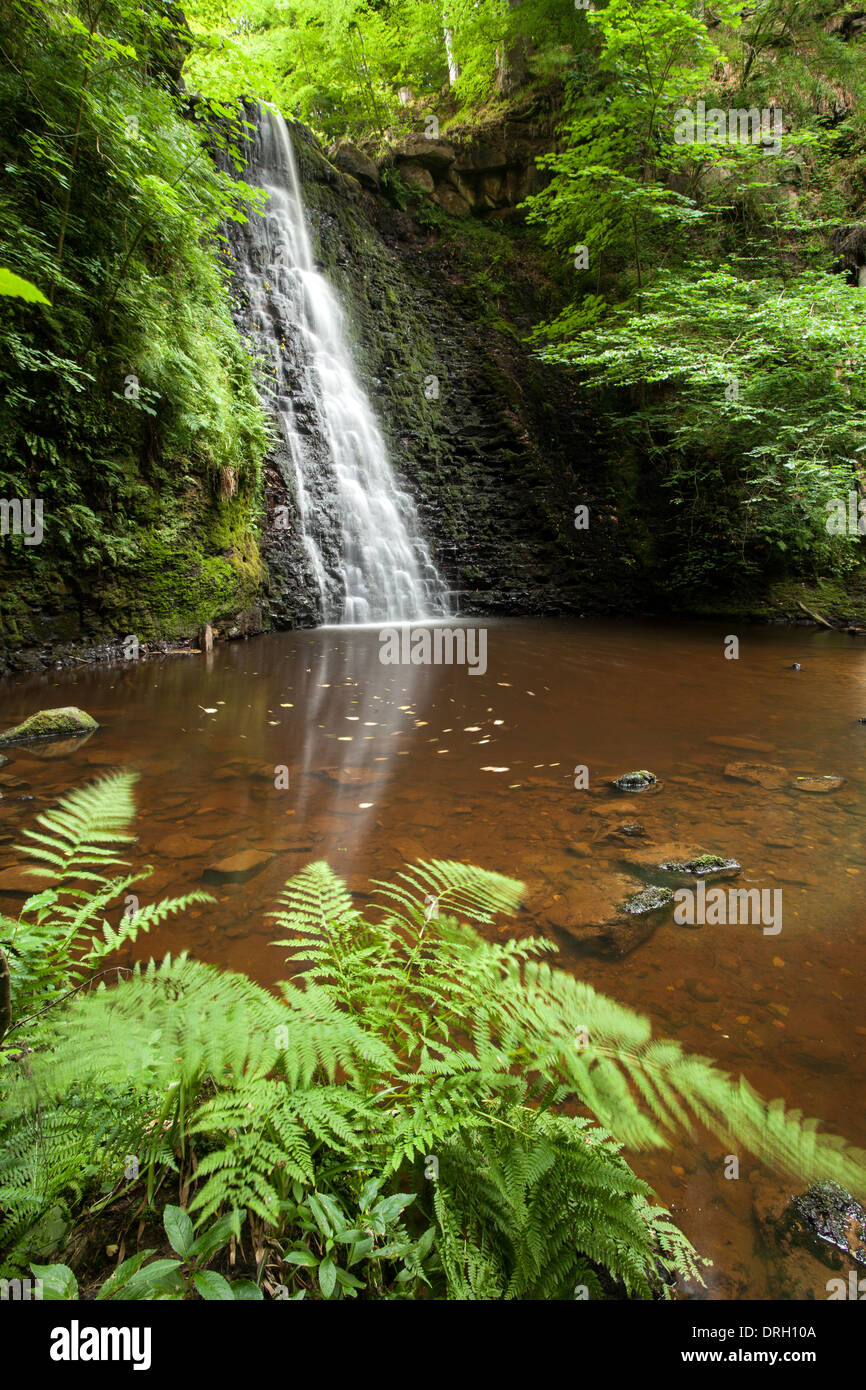 Falling Foss, North Yorkshire, England Stock Photo - Alamy