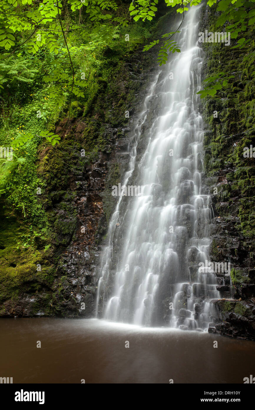 Falling Foss, North Yorkshire, England Stock Photo - Alamy
