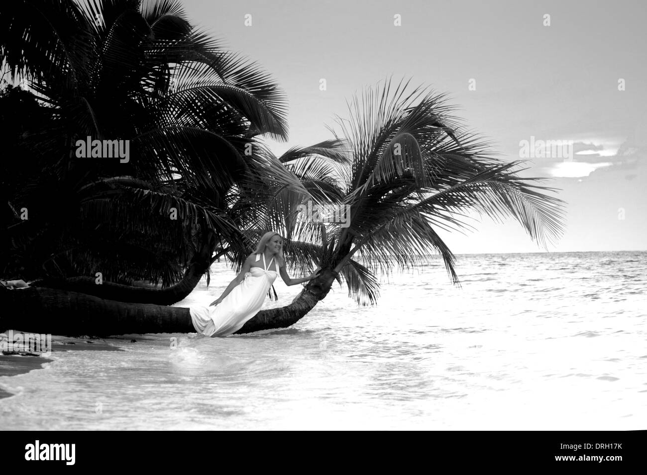 Orange sunny sunset on Black and White Stock Photos & Images - Alamy