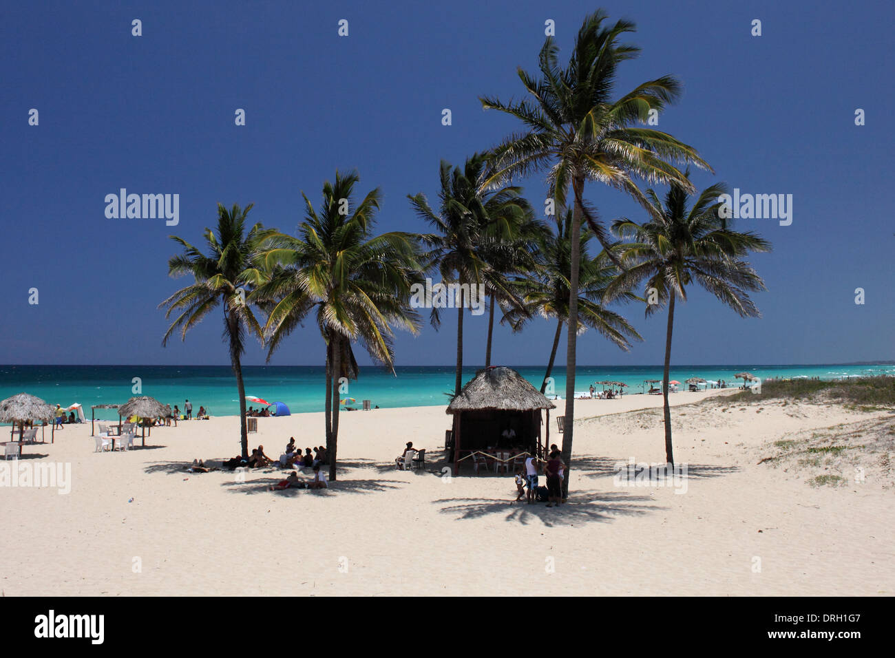 Palm trees on spanish beach hi-res stock photography and images - Alamy