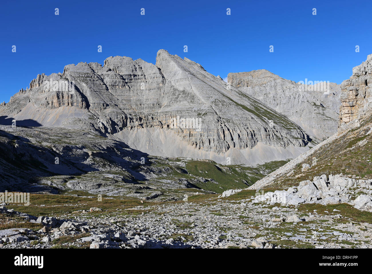 The Latemar mountain range. The Dolomites of Fiemme Valley. Valsorda ...
