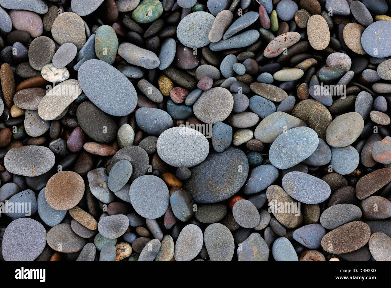 Variety of polished smooth beach stones on Rialto Beach in Olympic ...