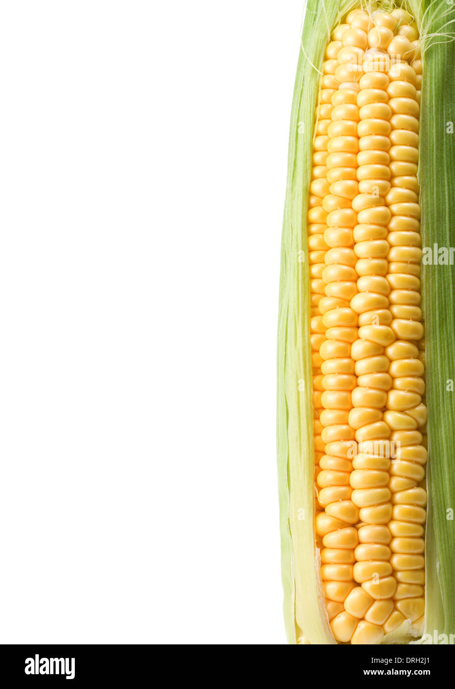 ripe yellow corn isolated on white background Stock Photo - Alamy