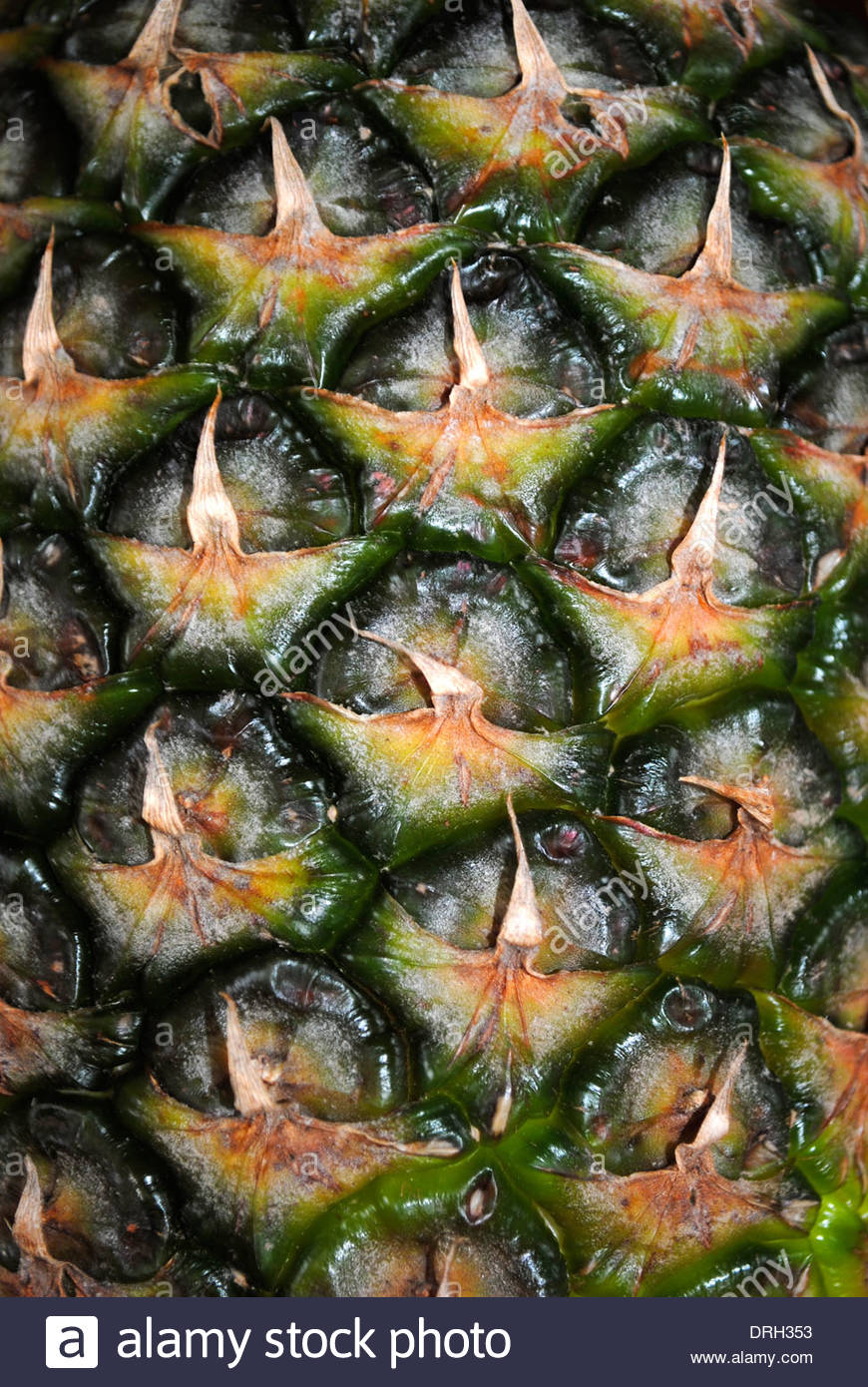 Pineapple Skin Stock Photos & Pineapple Skin Stock Images - Alamy