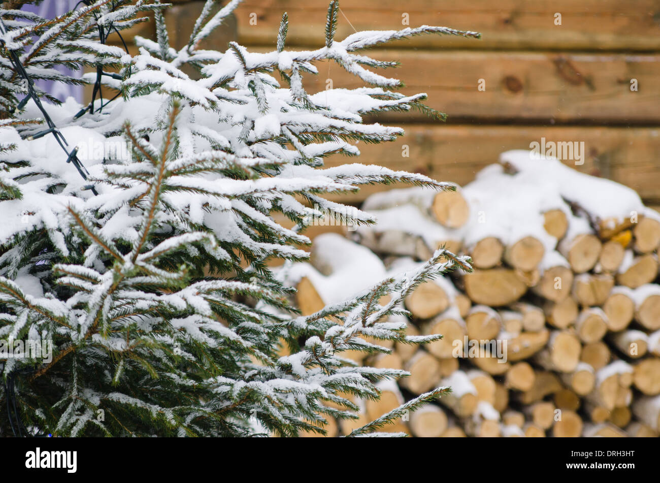 Birch fire wood at a wall of the house in winter Stock Photo - Alamy