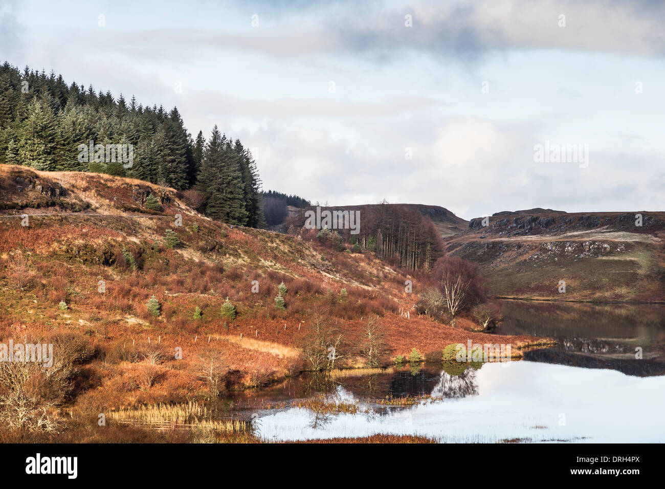Loch Torr & forest on the Isle of Mull Stock Photo - Alamy