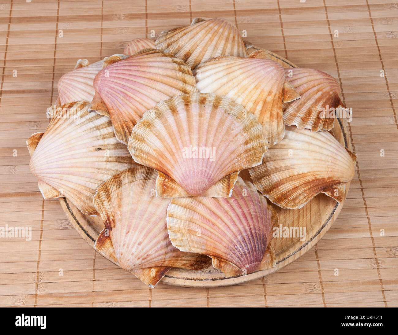 Scallops white background hi-res stock photography and images - Alamy