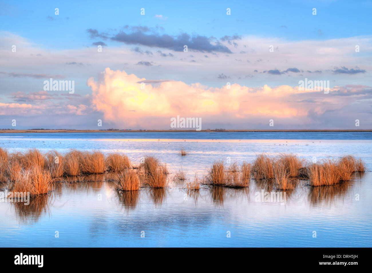 Sunset over a prairie wetland, Frank lake Alberta Canada Stock Photo ...