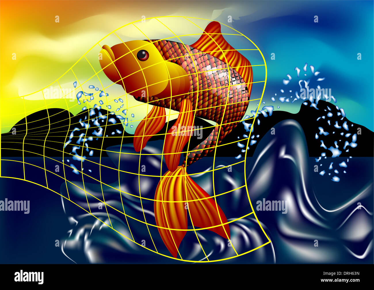 fish catch. goldfish fell into the net Stock Photo - Alamy