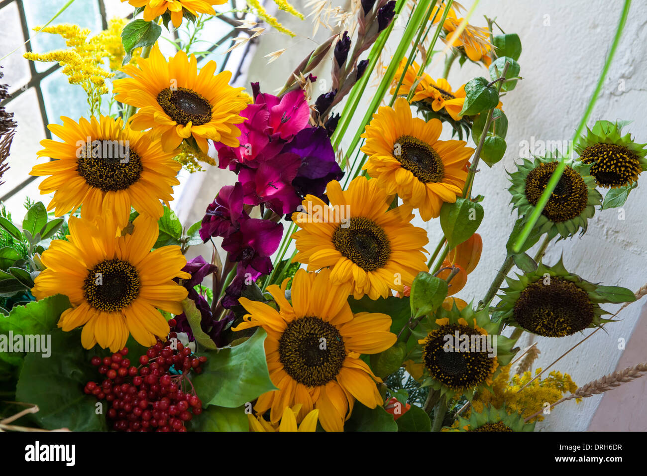 Sunflowers in a church window display Stock Photo - Alamy