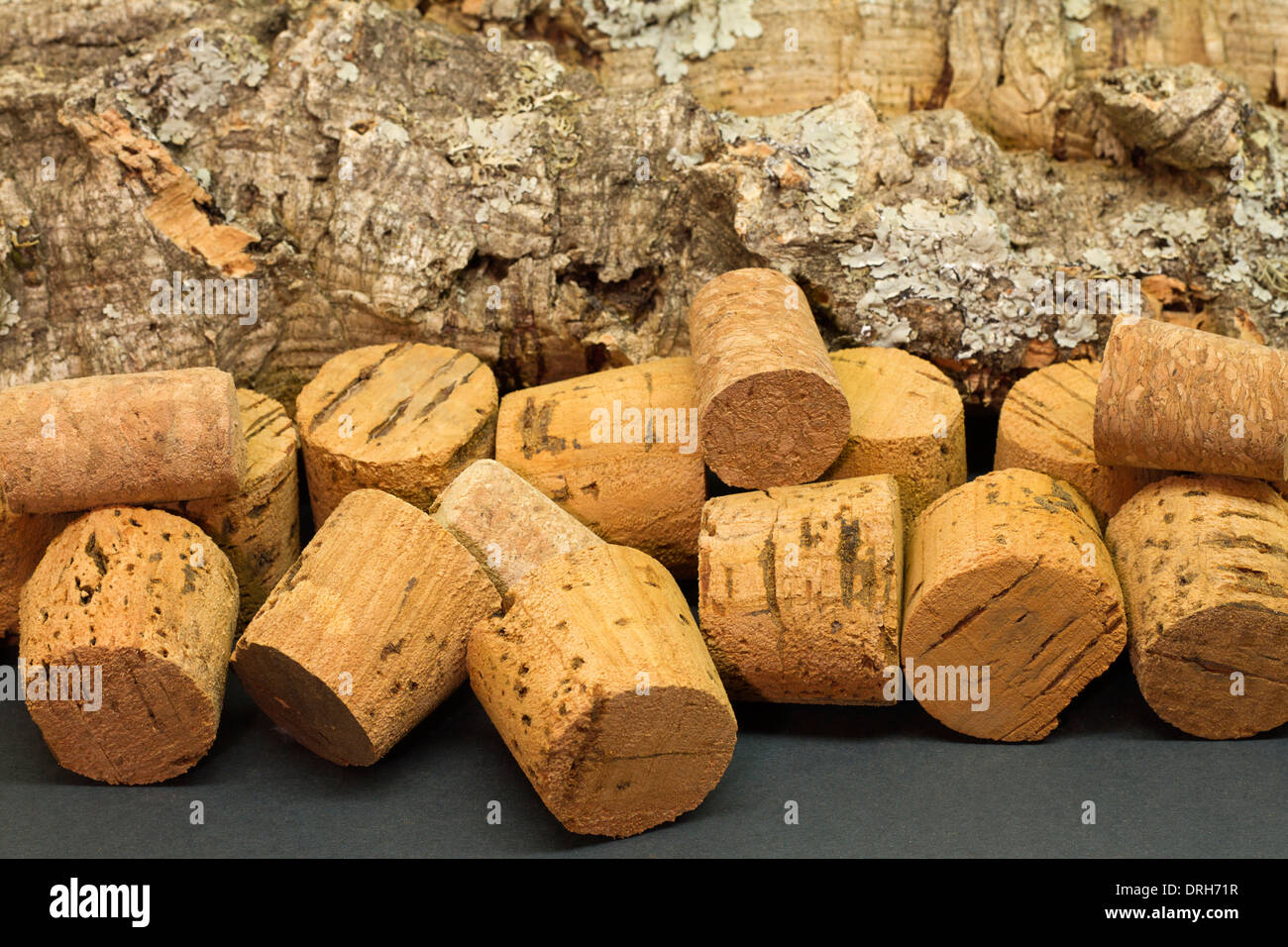 Tree caps hi-res stock photography and images - Alamy