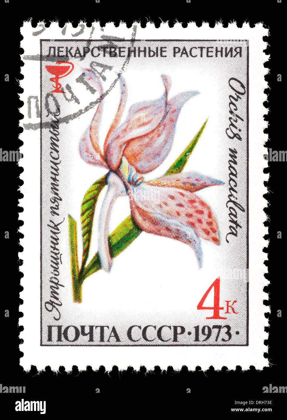 Postage stamp from the Soviet Union (USSR) depicting the ochid flower ...