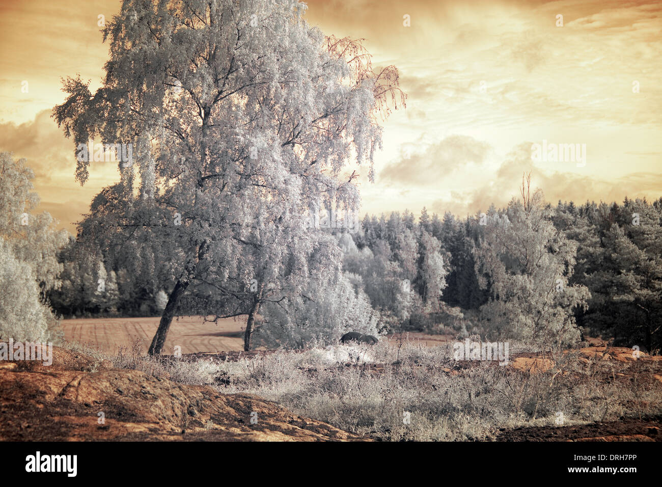 Landscape infrared filter Stock Photo - Alamy