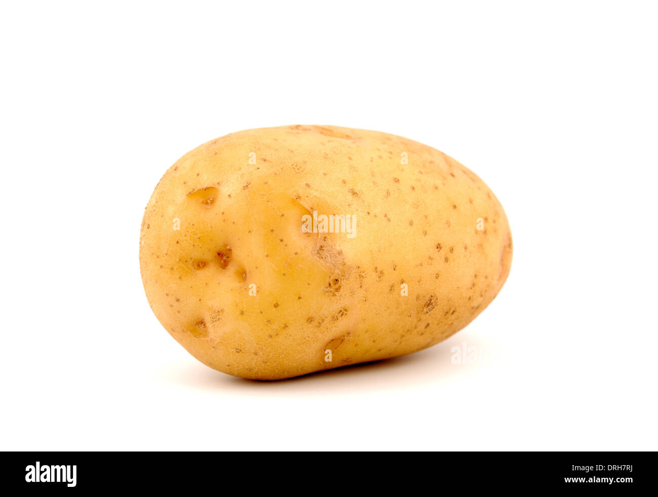 Close up shot vegan Cut Out Stock Images & Pictures - Alamy