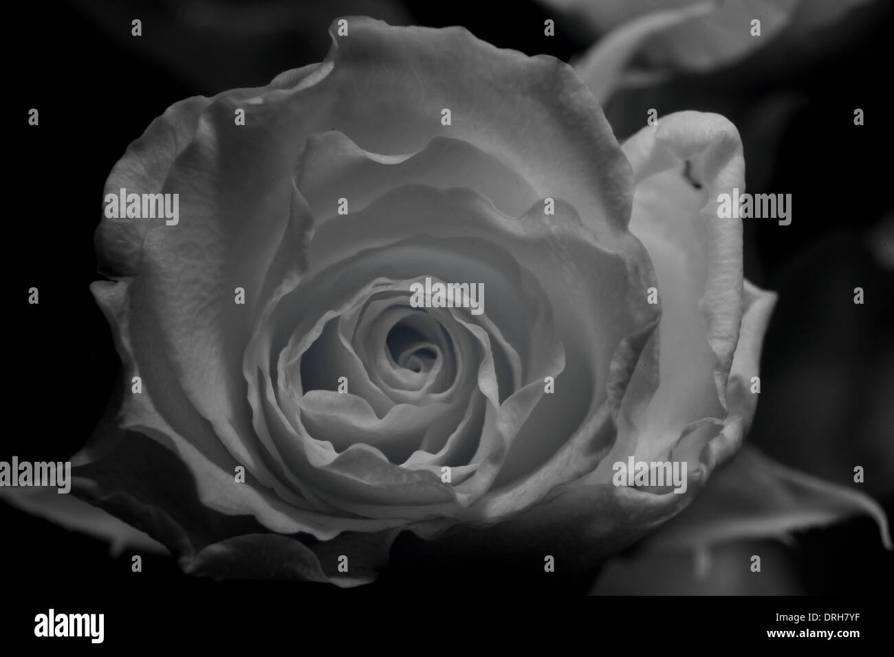 Uv pass filter hi-res stock photography and images - Alamy