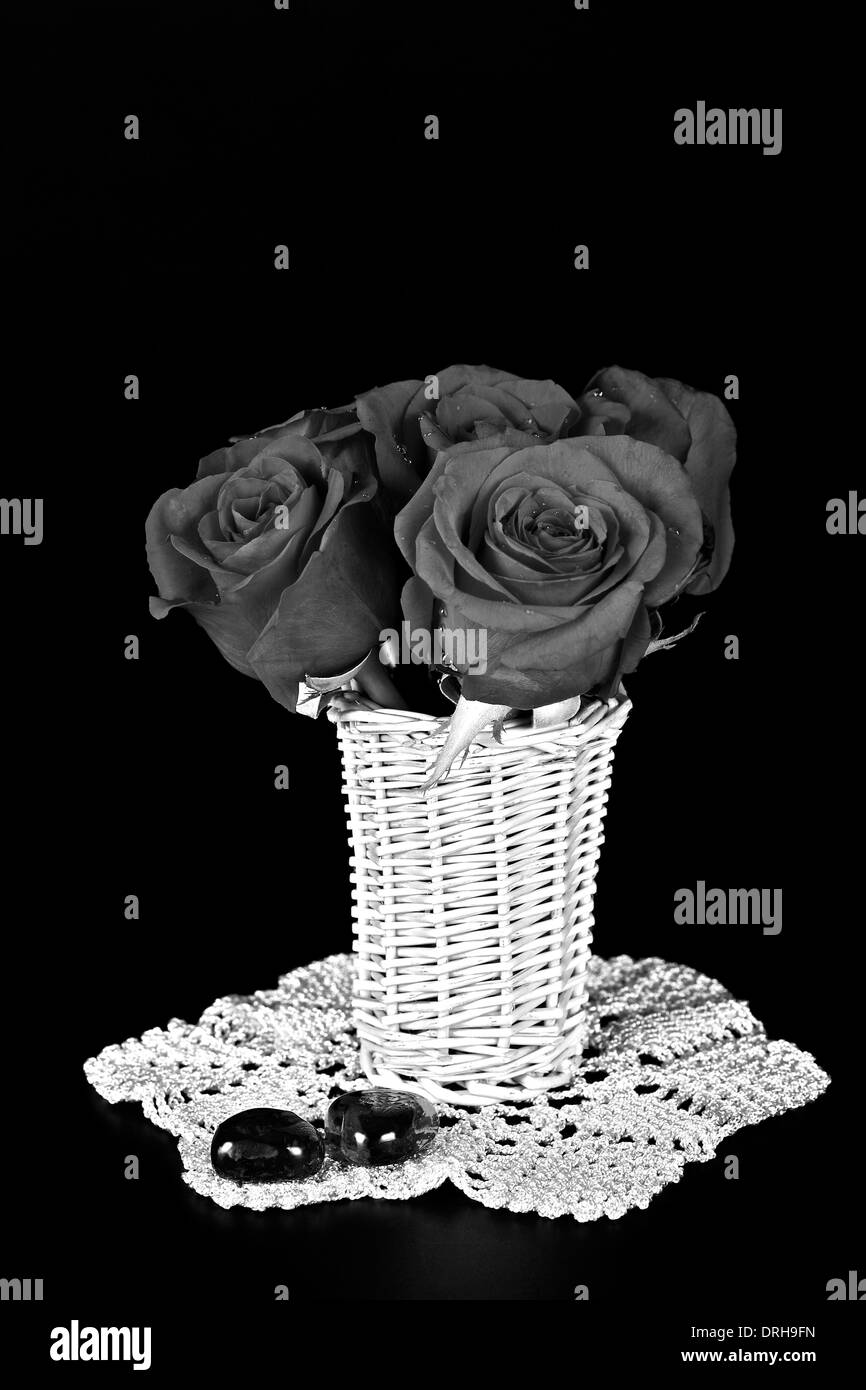 Black and white roses photography hi-res stock photography and images ...