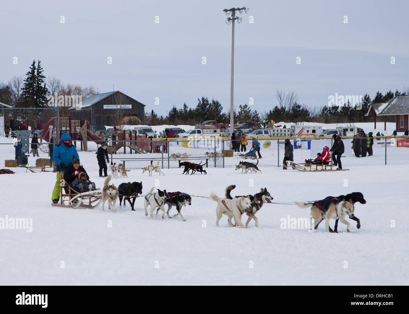 Toronto, Canada. 26th Jan, 2014. Visitors take sled dog rides during ...