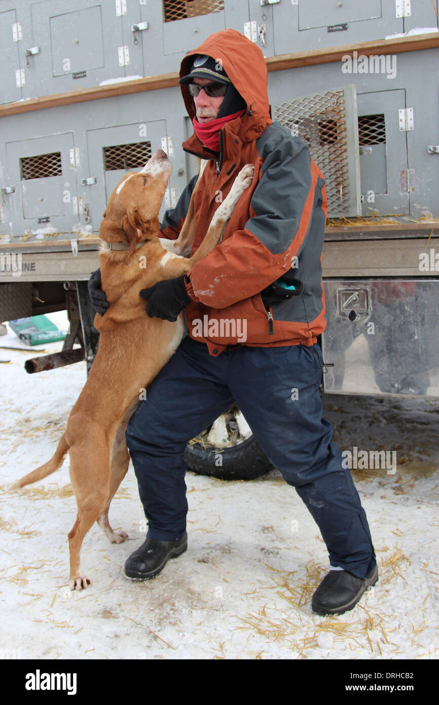 Toronto, Canada. 26th Jan, 2014. A sled dog plays with its owner during ...