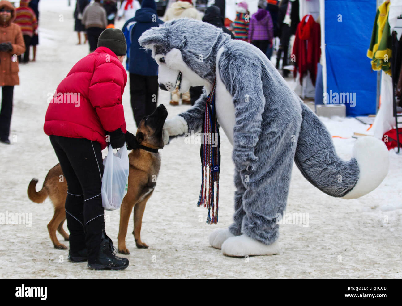 Dog sled festival hi-res stock photography and images - Alamy