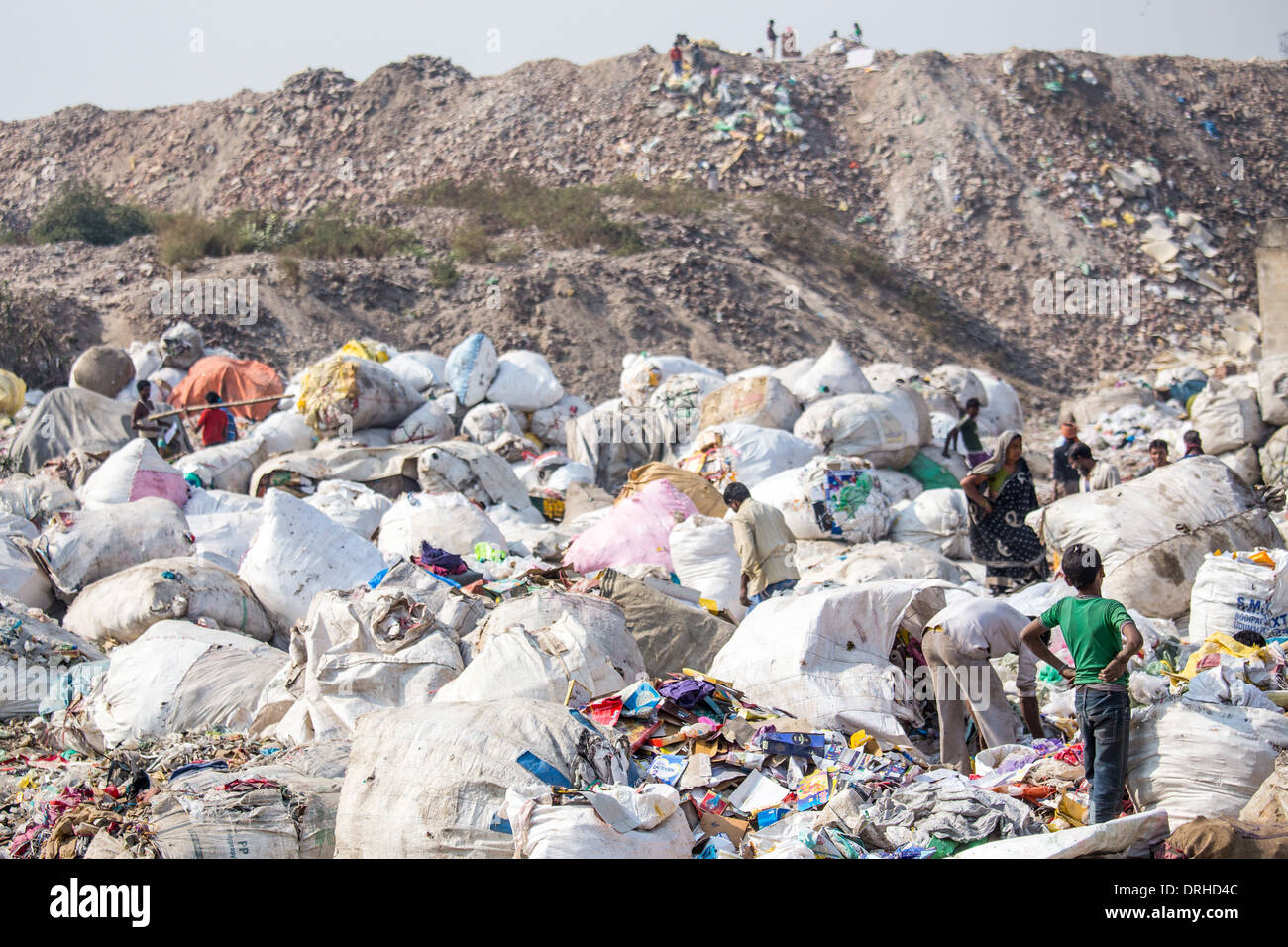 Pickers at a garbage dump in Delhi, India Stock Photo - Alamy