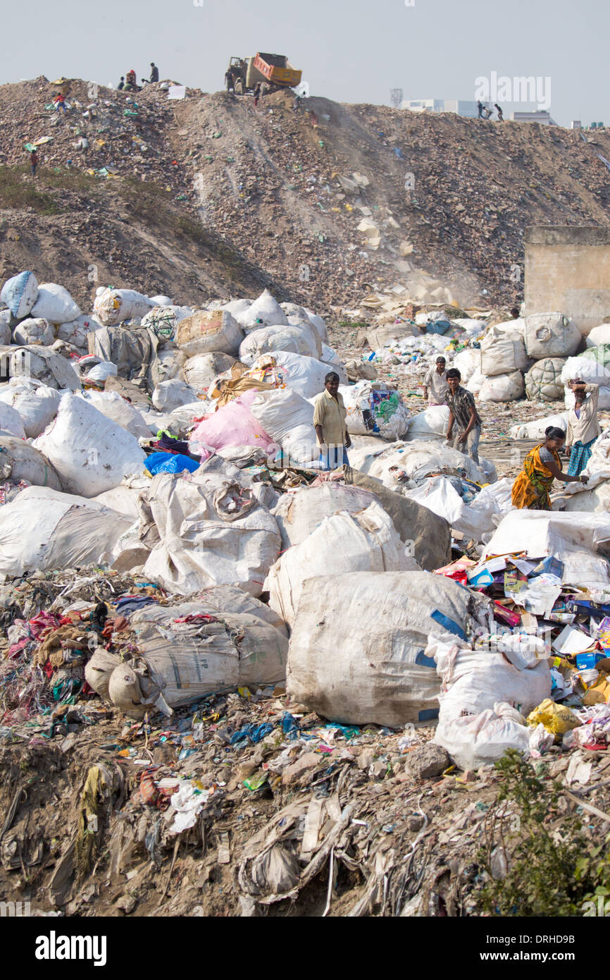 Pickers at a garbage dump in Delhi, India Stock Photo - Alamy
