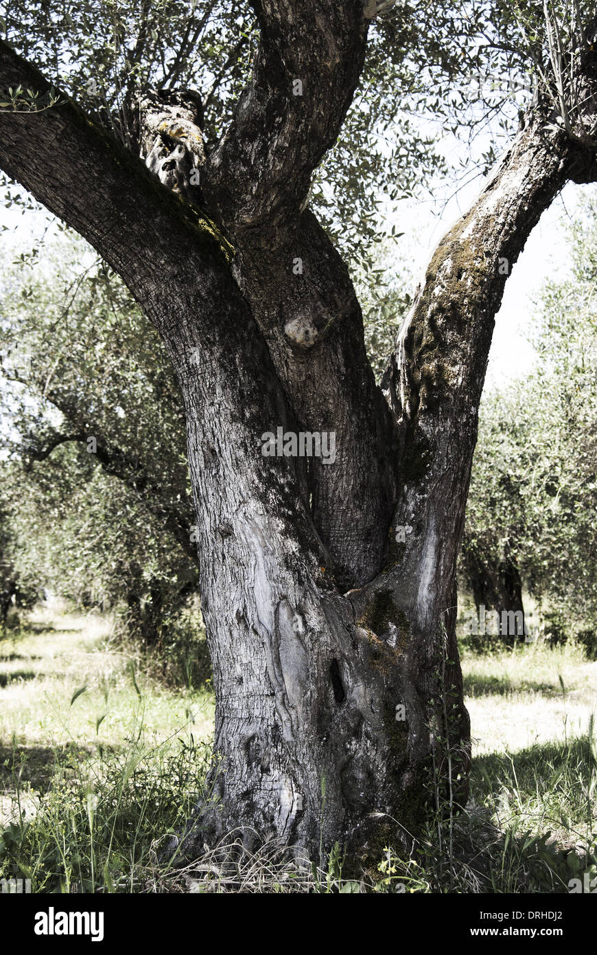 A secular hi-res stock photography and images - Alamy