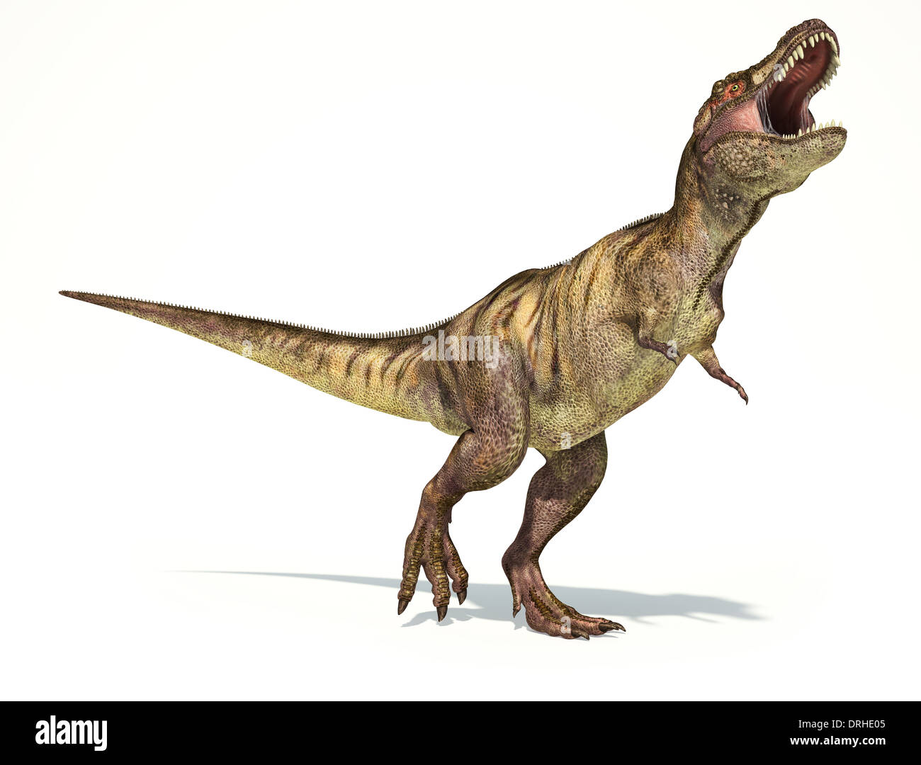 T rex Cut Out Stock Images & Pictures - Alamy