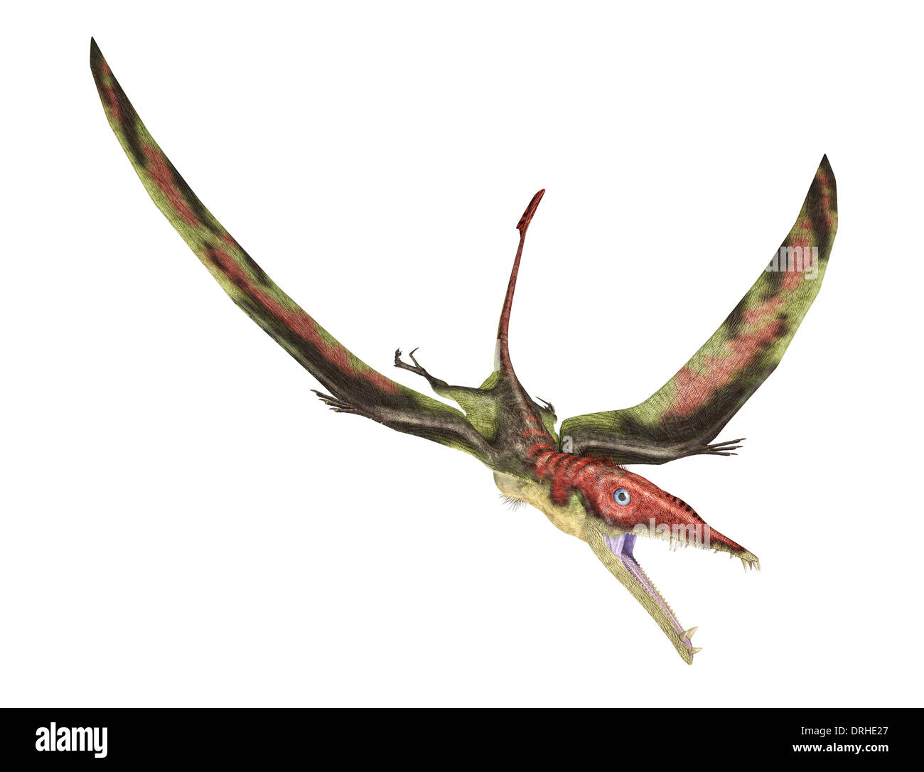 Pterodactyl Cut Out Stock Images & Pictures - Alamy