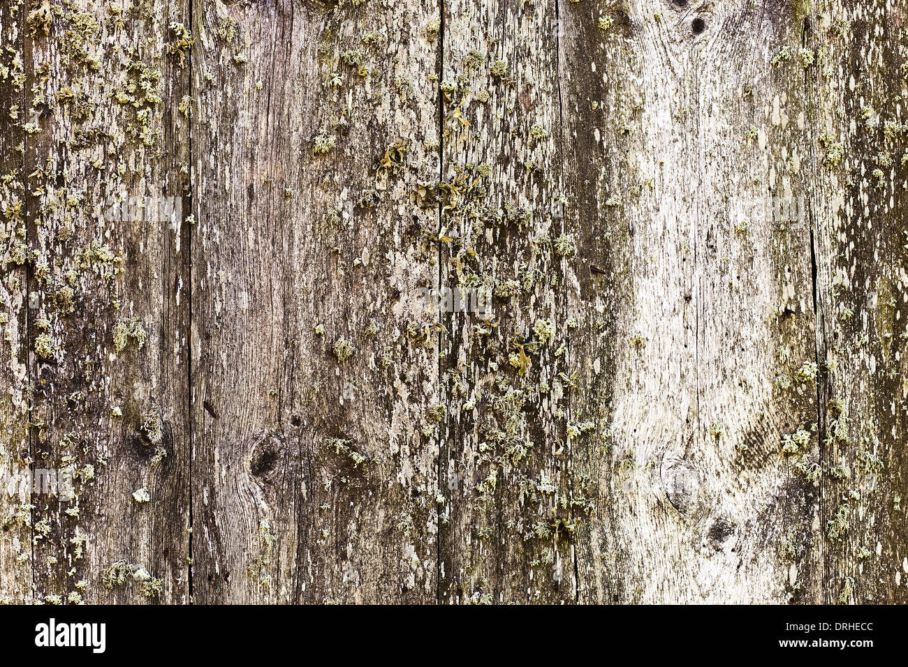 The old wooden wall , frontal view Stock Photo - Alamy