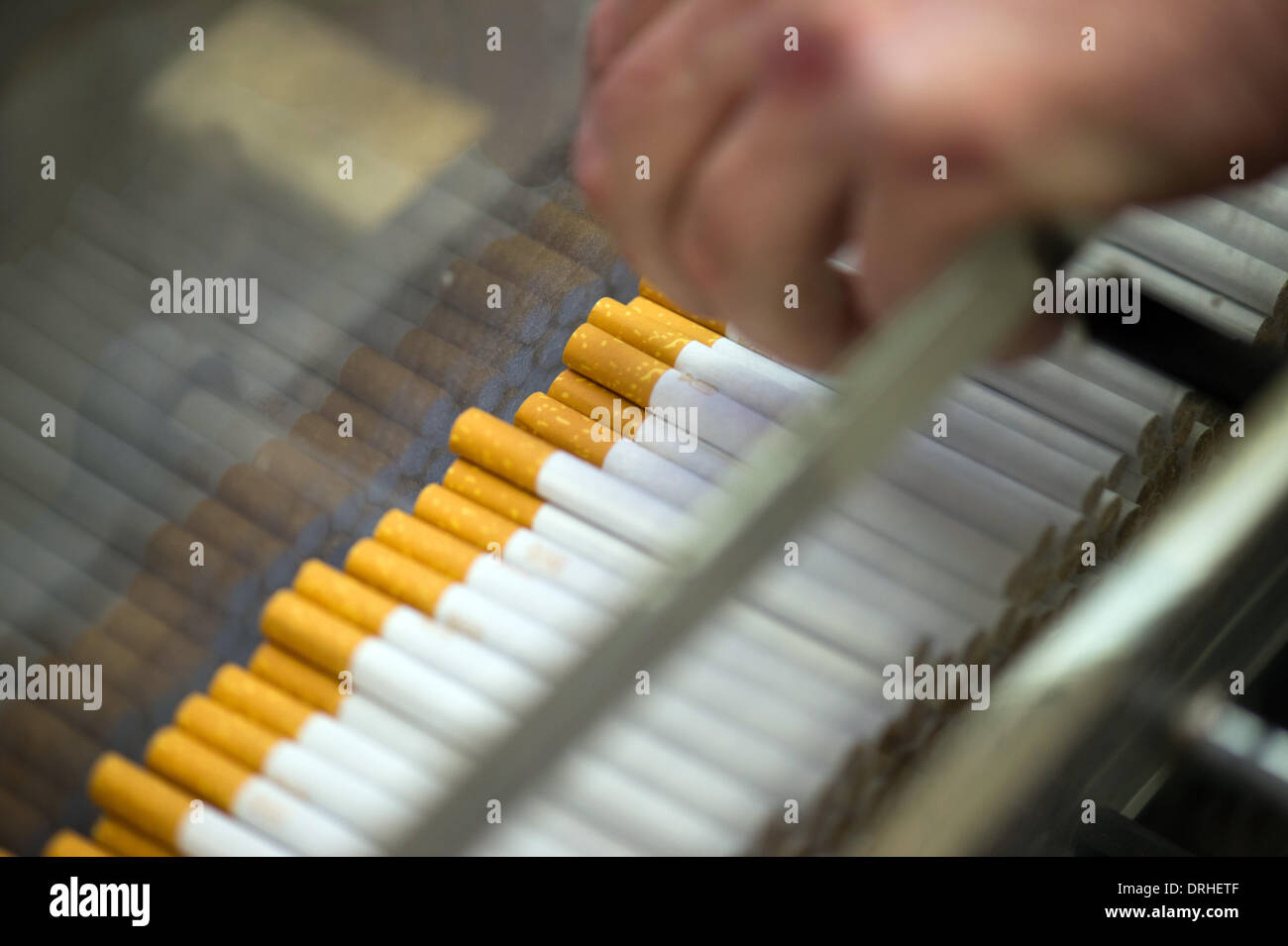 An employee works in the tobacco processing department of the f6 ...