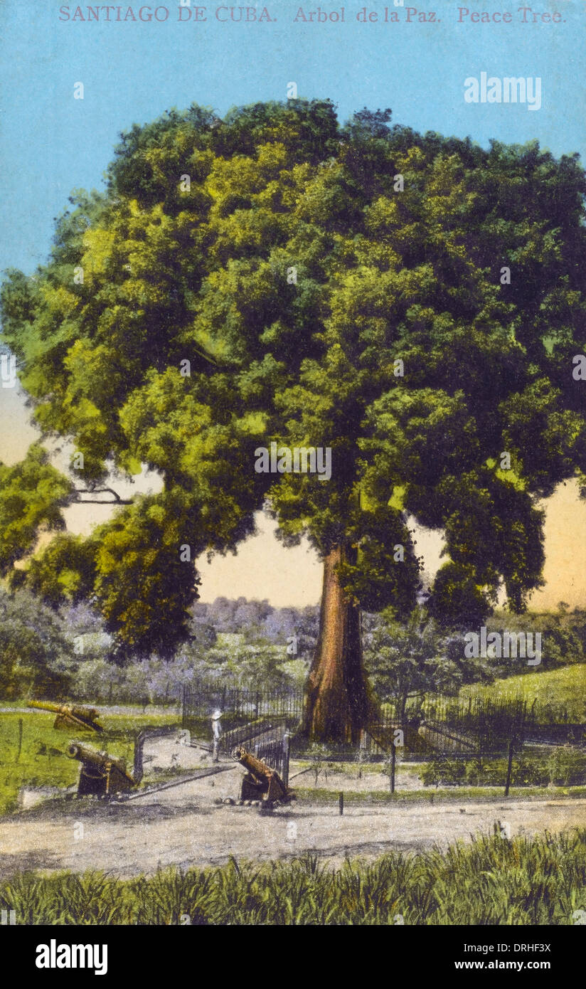 Cuba - Santiago de Cuba - Arbol de la Paz (Peace Tree Stock Photo - Alamy