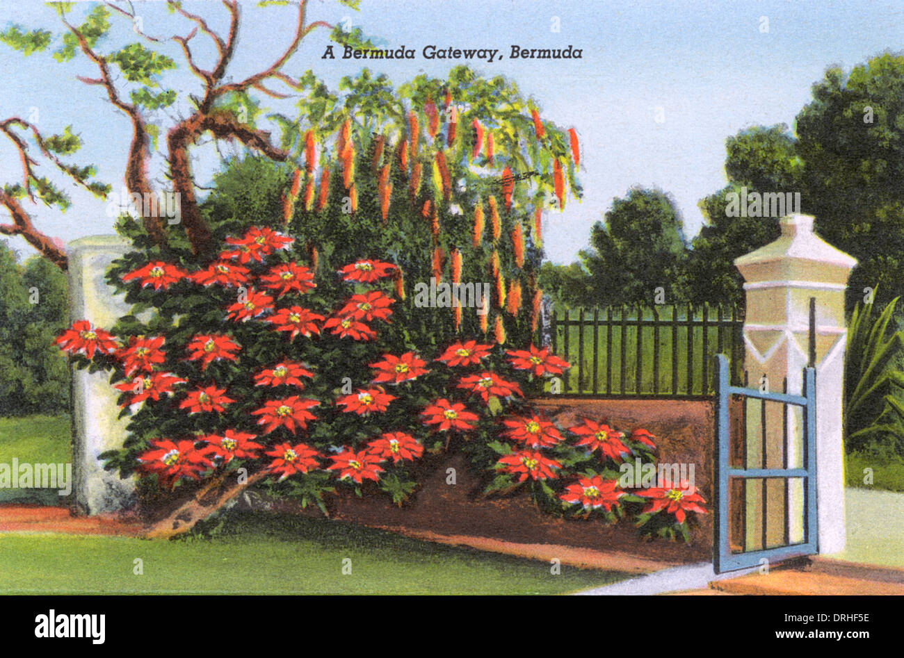 British overeas territory hi-res stock photography and images - Alamy