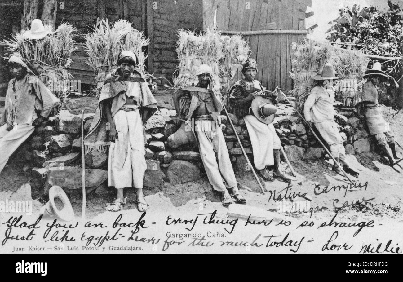 Indigenous Native Mexicans carrying Sugar Cane Stock Photo - Alamy