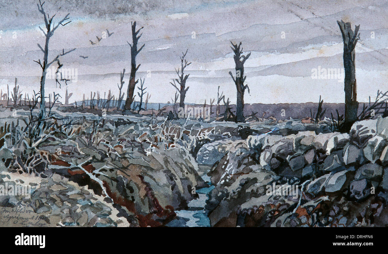 German position near a wood, Western Front, WW1 Stock Photo - Alamy