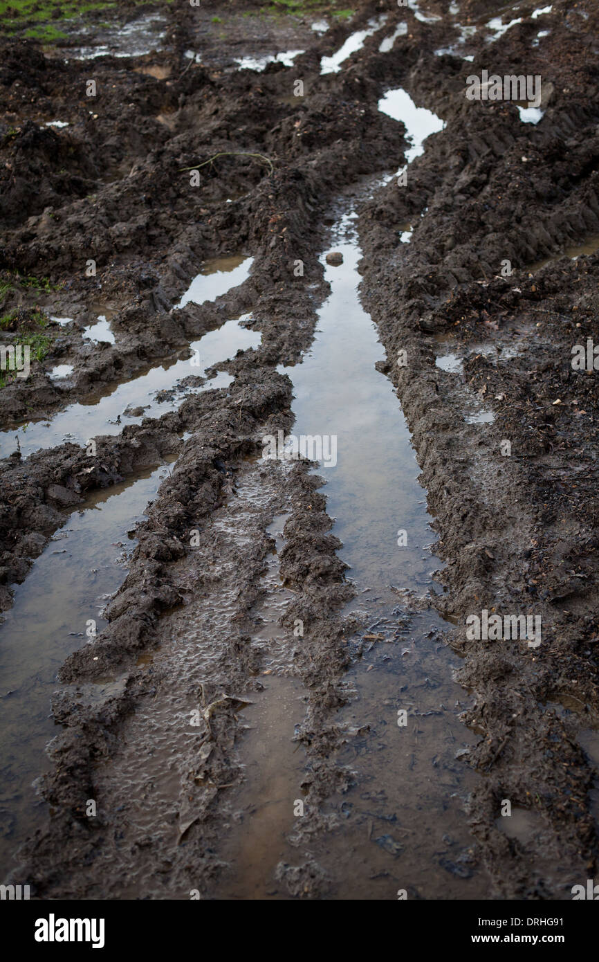 Muddy tracks field hi-res stock photography and images - Alamy