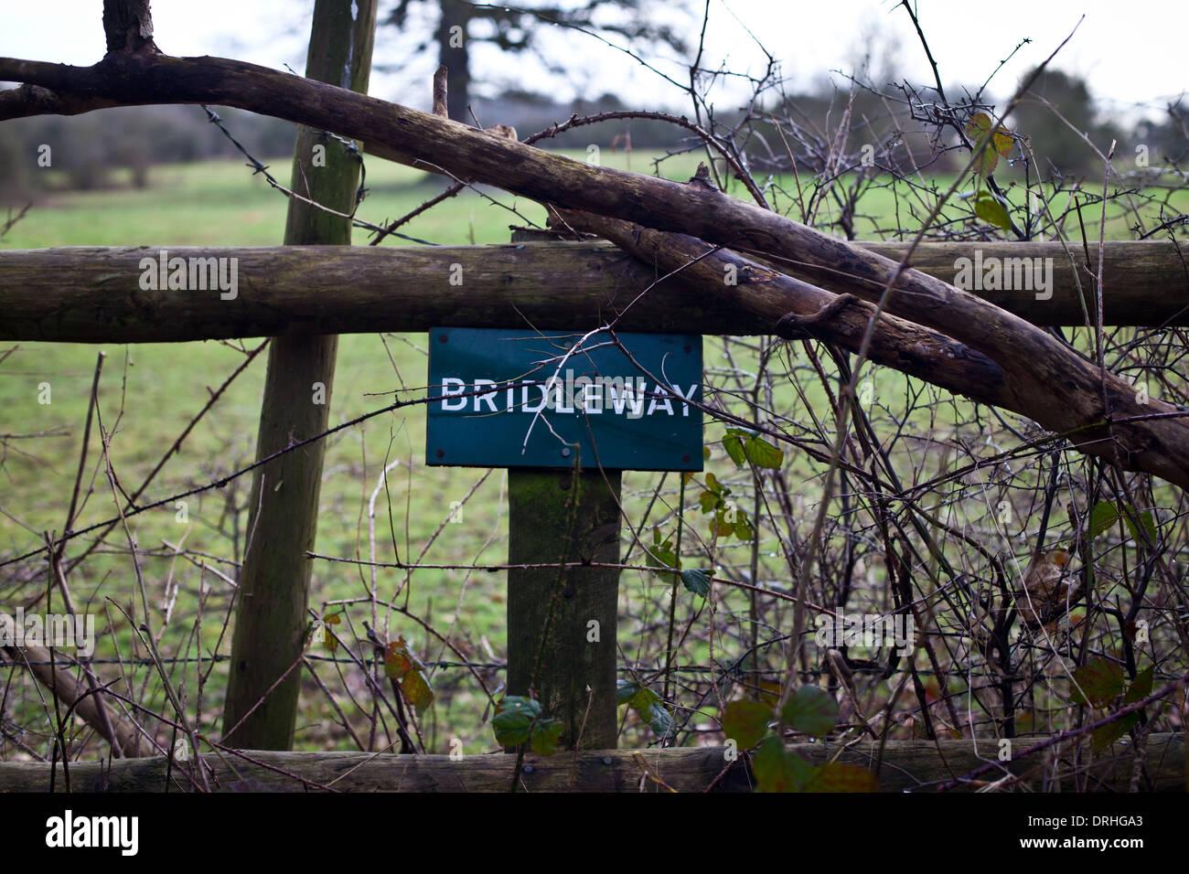 Bridleway horse hi-res stock photography and images - Alamy