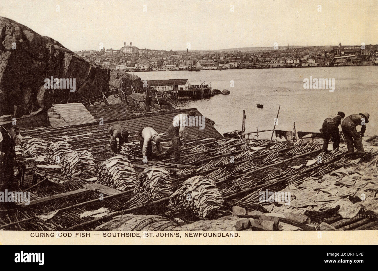 Newfoundland st john's fish hi-res stock photography and images - Alamy