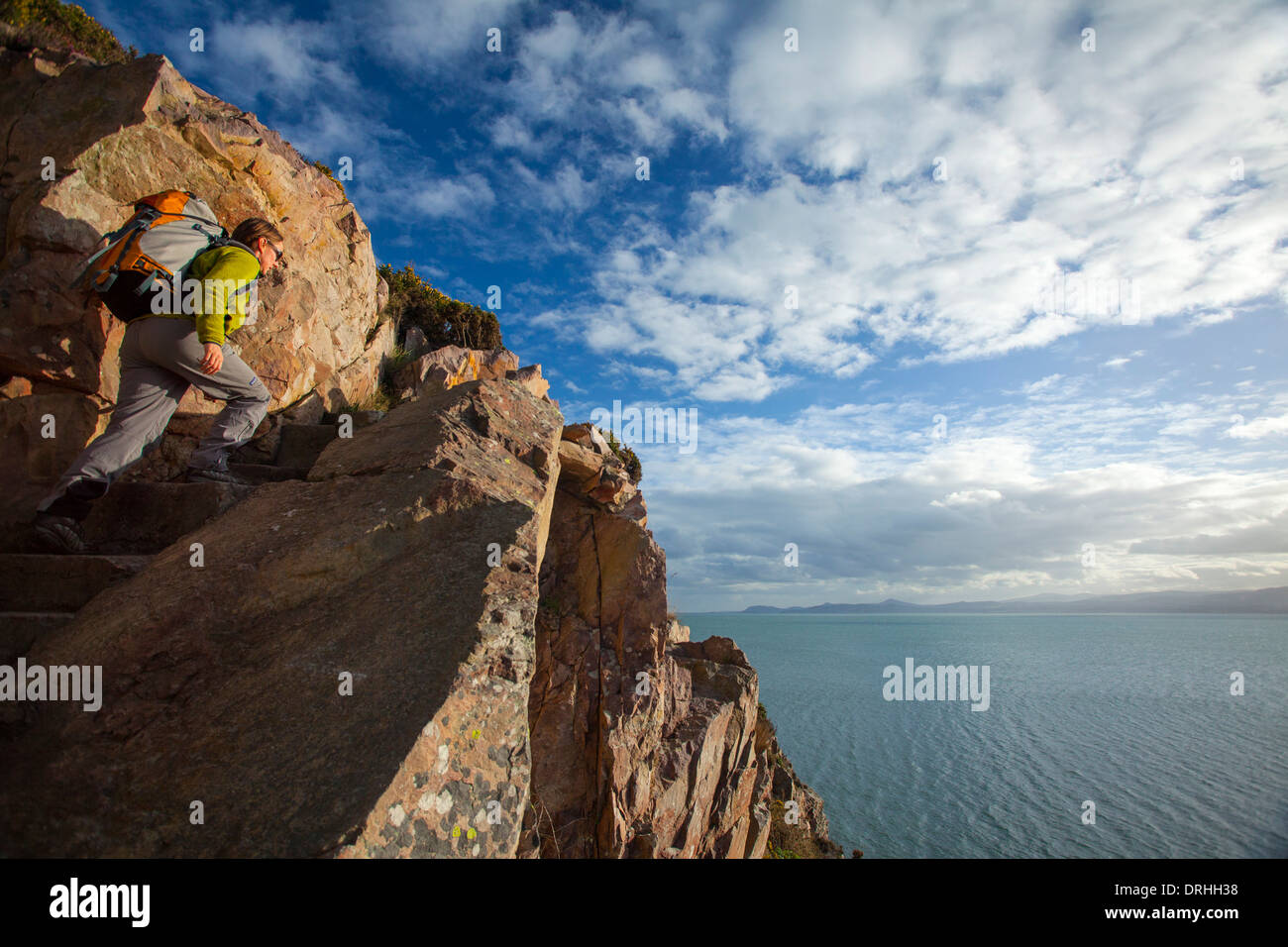 Walker climbing a flight of stone steps on the Bog of Frogs Loop, Red ...