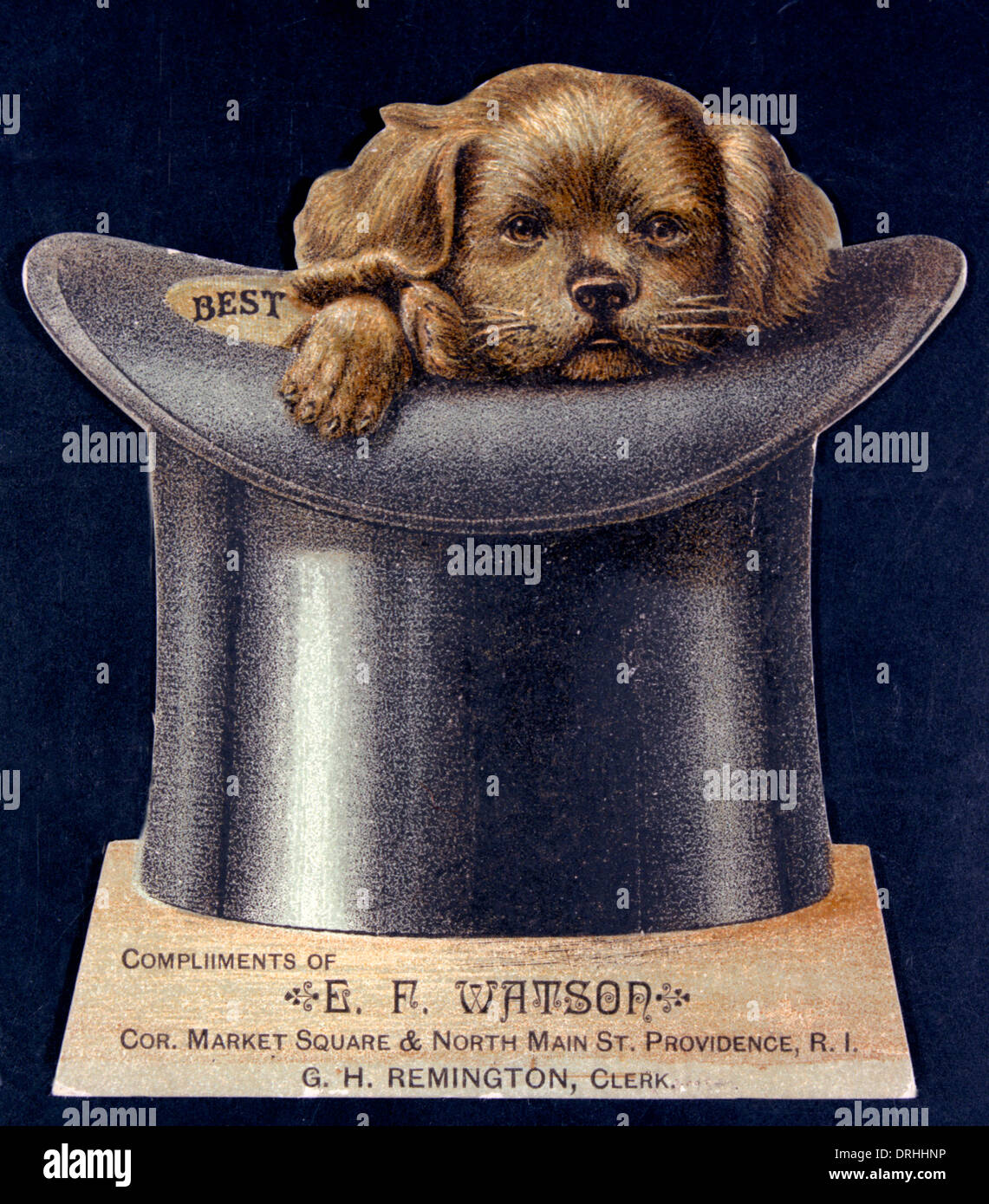 Dog top hat hi-res stock photography and images - Alamy