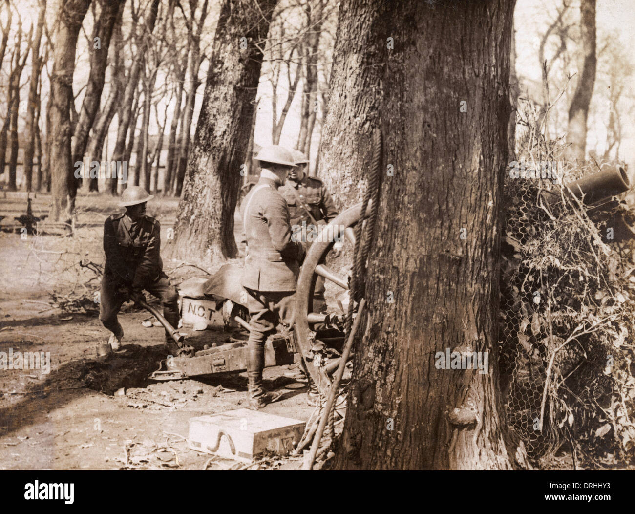 British artillerymen in a wood, Western Front, WW1 Stock Photo - Alamy