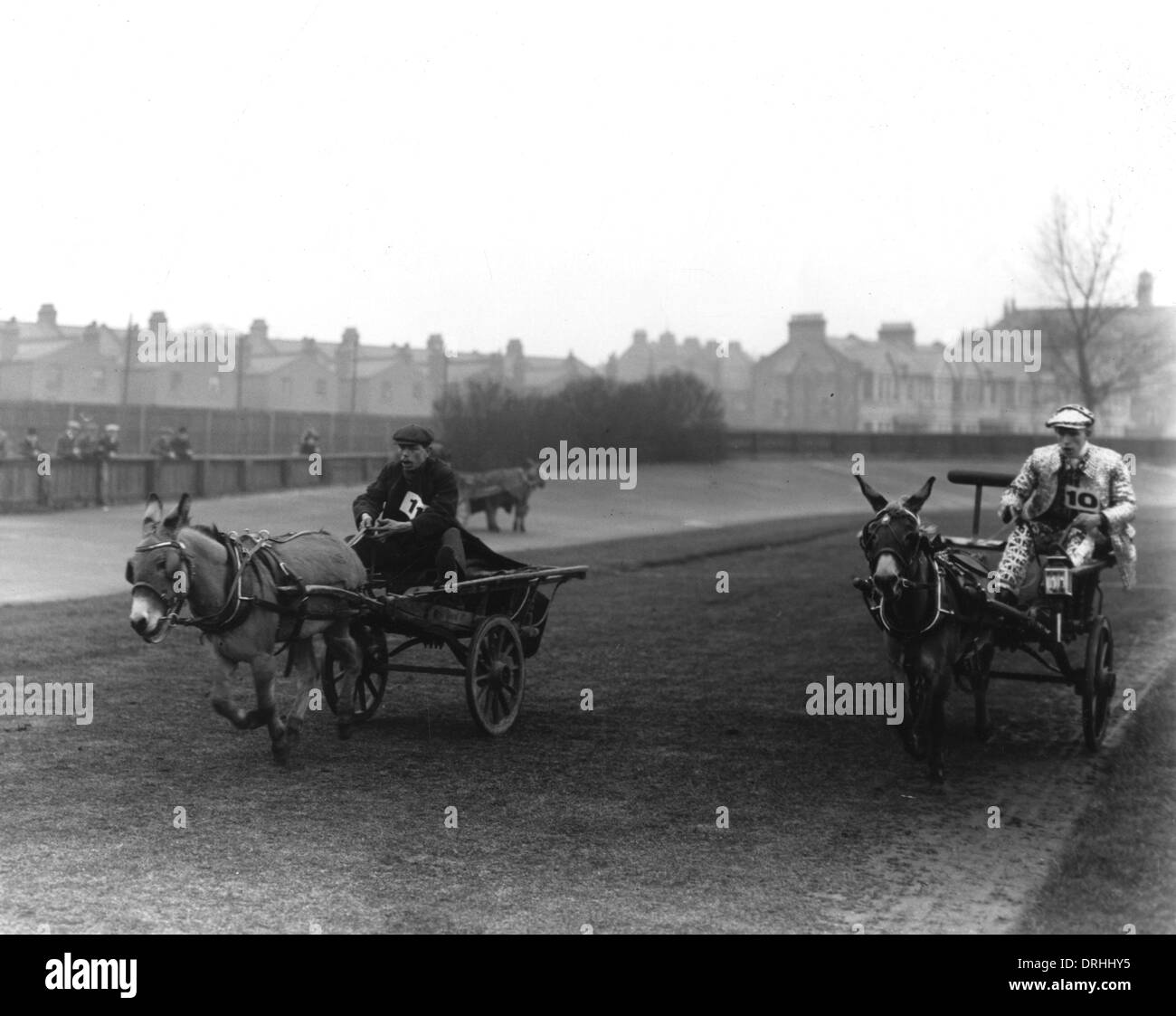 Donkey racing hi-res stock photography and images - Alamy